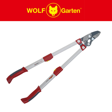 Wolf Garten Tree Care Tools - Pruners, Saws & Extending Poles | WolfOnline